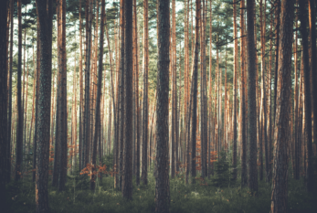 How to Reduce Your Paper Waste - Zero Waste Memoirs