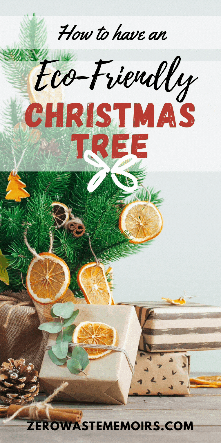 The Eco-Friendly Christmas Tree - How to Celebrate Sustainably!