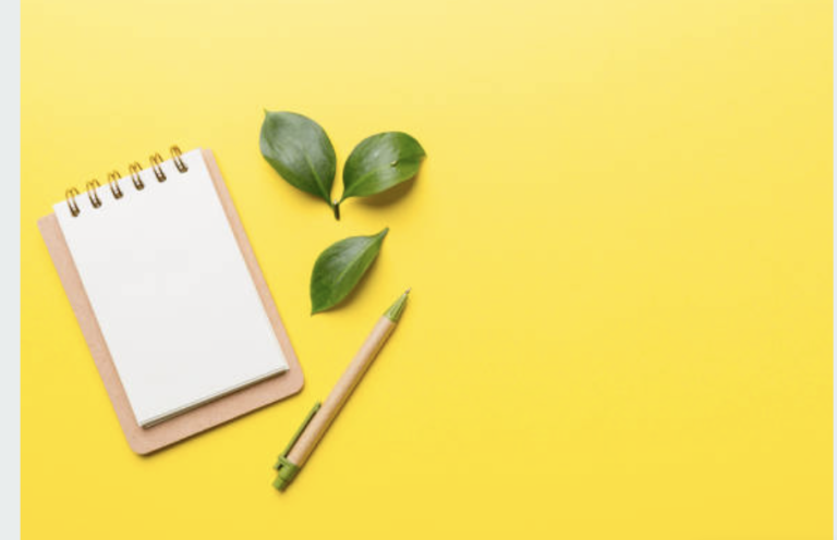 Zero Waste Pens - Most Eco-Friendly Writing Utensils - Zero Waste Memoirs