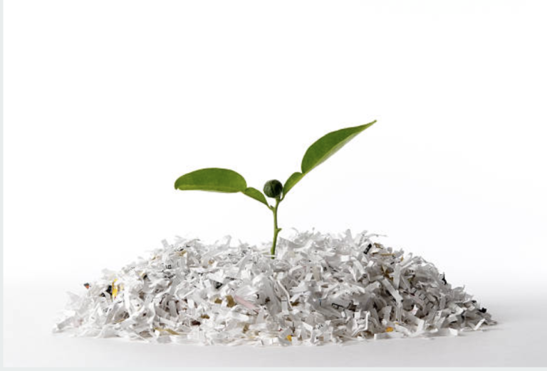 How to Reduce Your Paper Waste - Zero Waste Memoirs