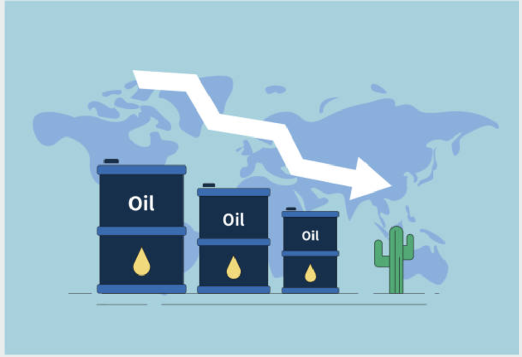 10 Ways You Can Reduce Your Oil Consumption Right Now - Zero Waste Memoirs