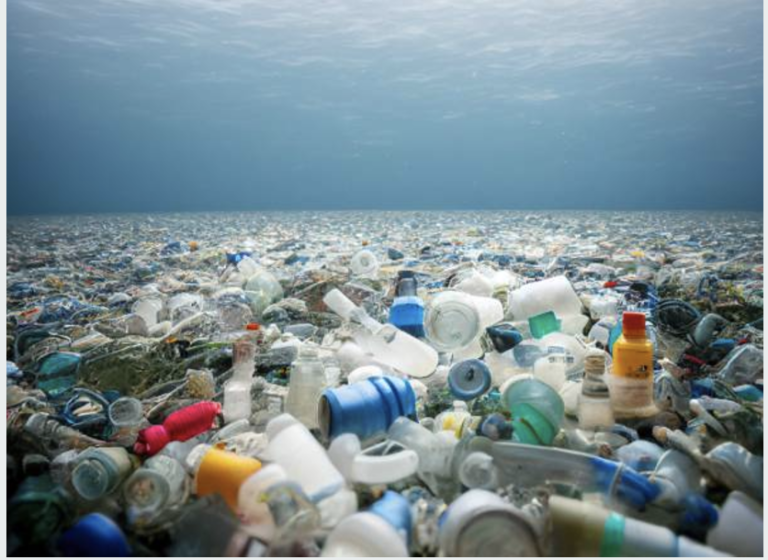 How Does Trash Get in the Ocean? Practical Ways to Tackle the Problem ...