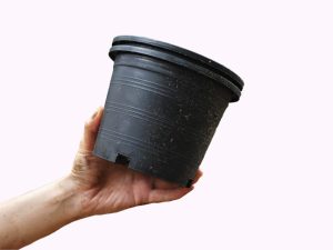 How to Recycle Plant Pots for a Guilt-Free Garden - Zero Waste Memoirs