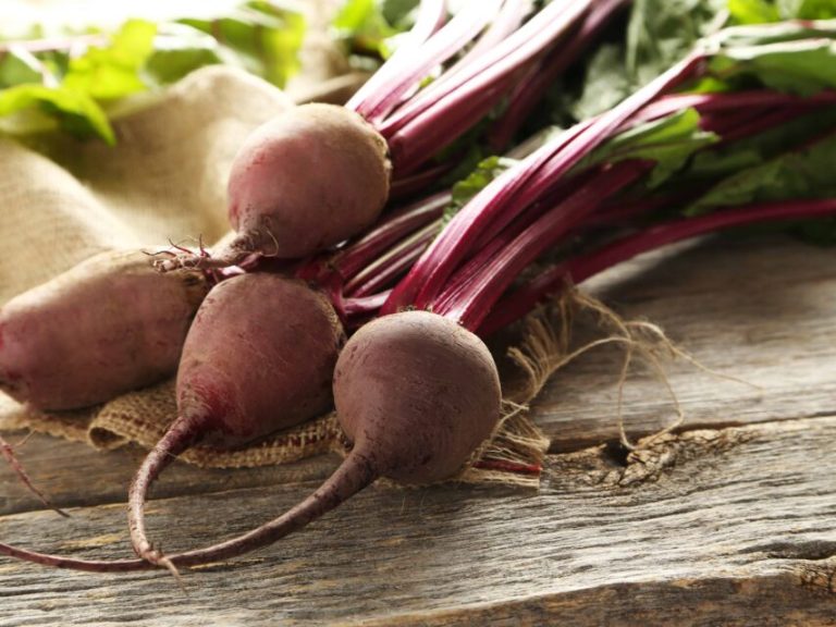 Zero Waste Beetroot Lip Stain Recipe – Zero Waste Memoirs