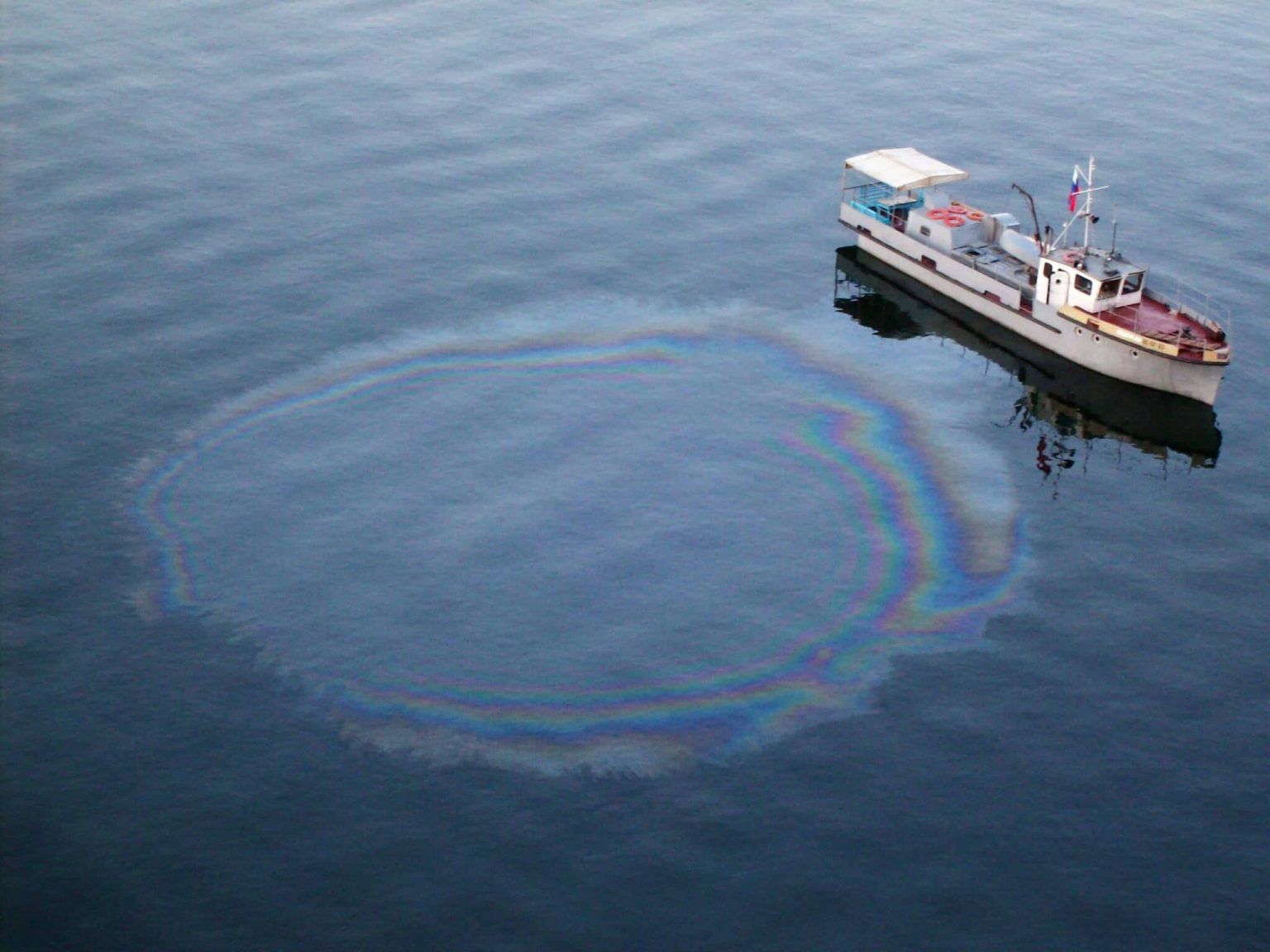 10 Ways You Can Reduce Your Oil Consumption Right Now - Zero Waste Memoirs