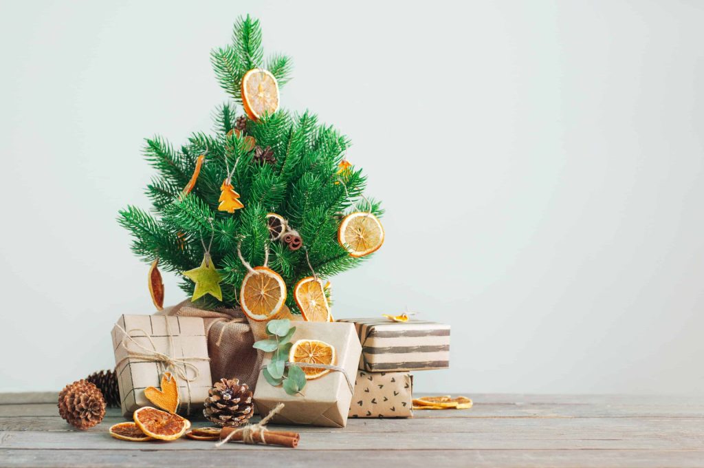The Eco-Friendly Christmas Tree - How to Celebrate Sustainably! - Zero ...